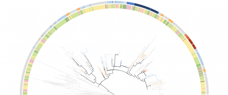 CAGEF Centre for the Analysis of Genome Evolution & Function – genome ...
